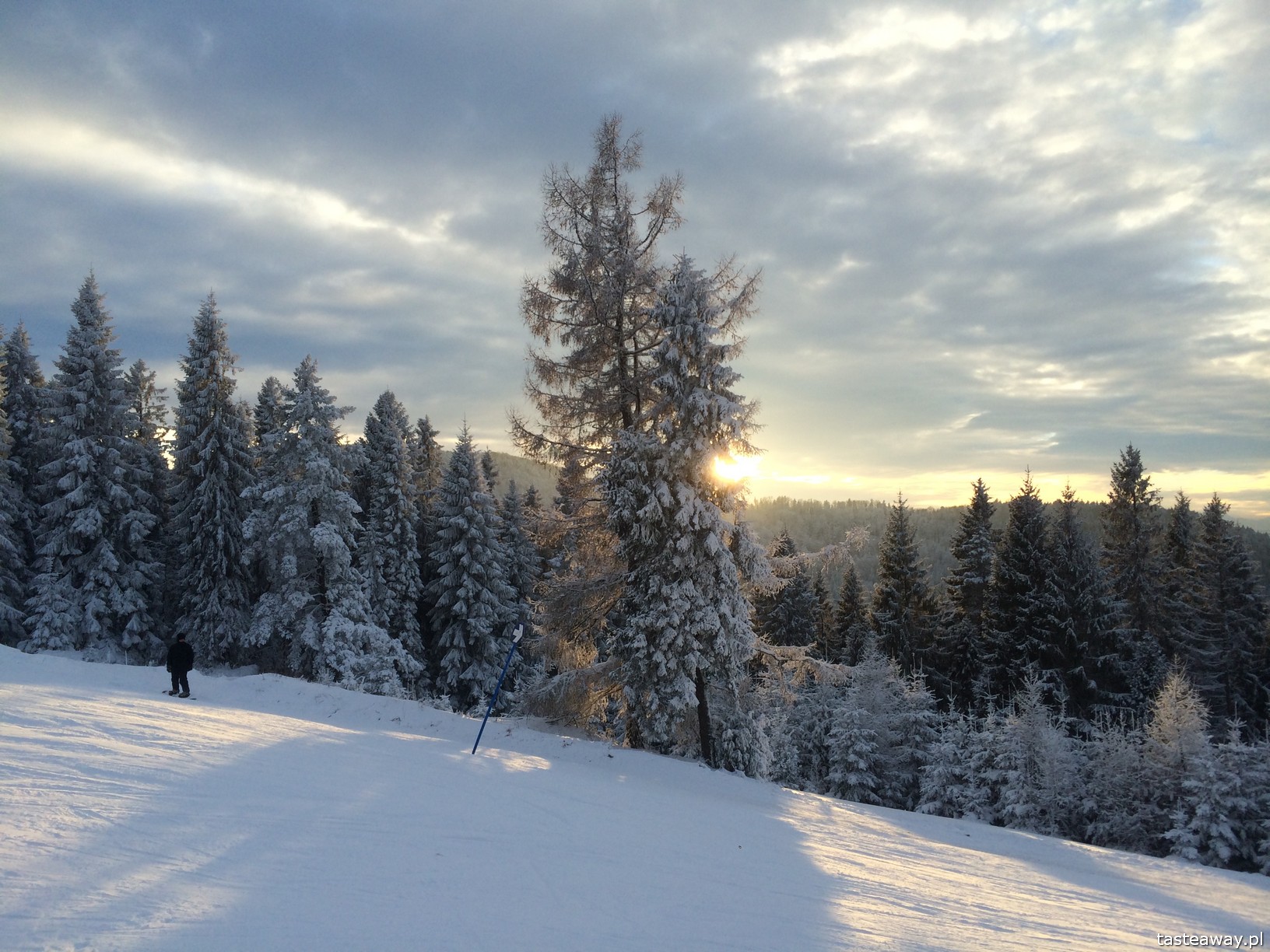 Zima, śnieg i narty: Wierchomla i Beskid Sądecki
